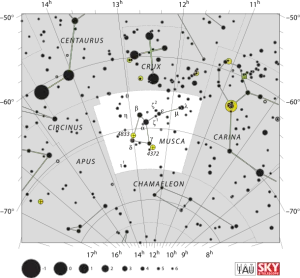 Musca Constellation Fun Facts for Kids