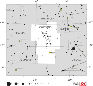Delphinus Constellation Fun Facts for Kids